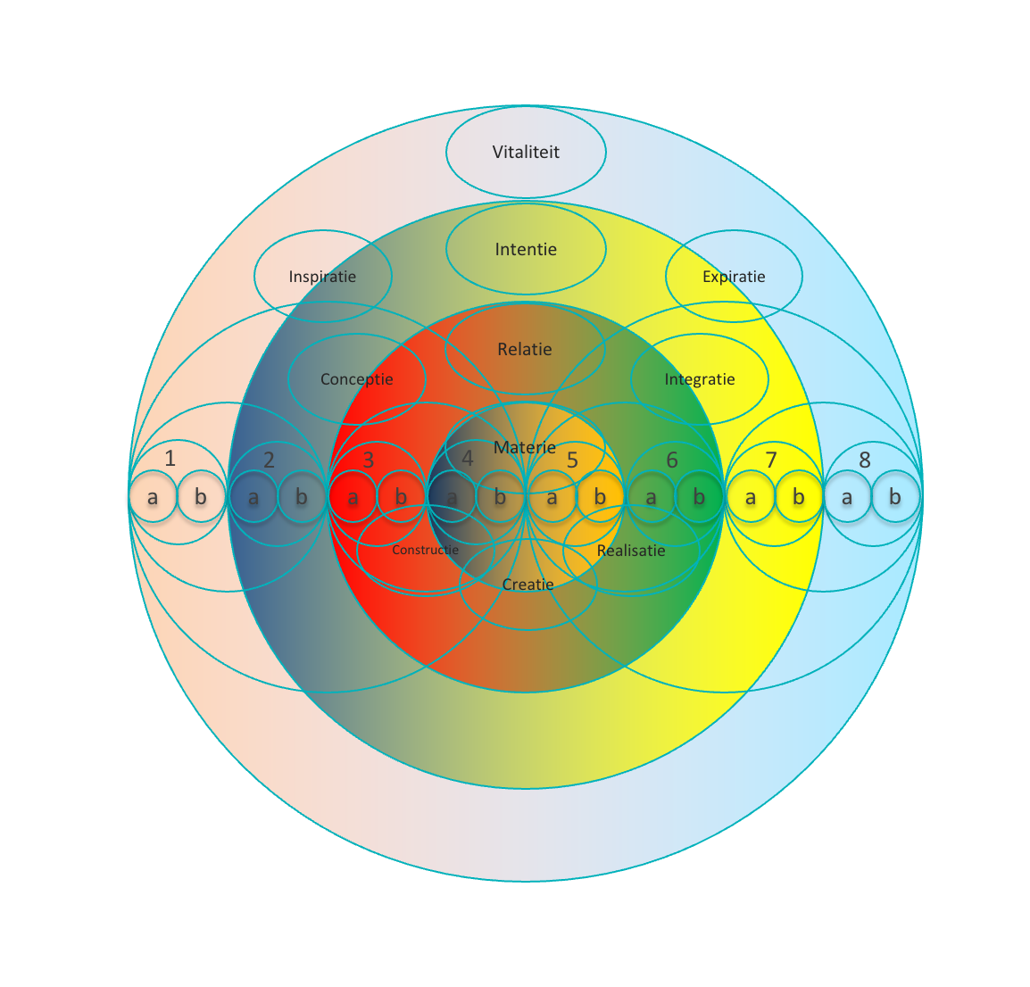 Transition Dynamics - Synnervate